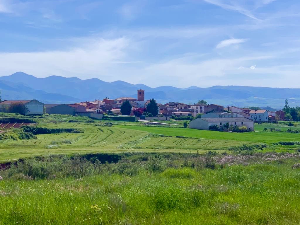 Aleson desde el Camino - AMC Santiago